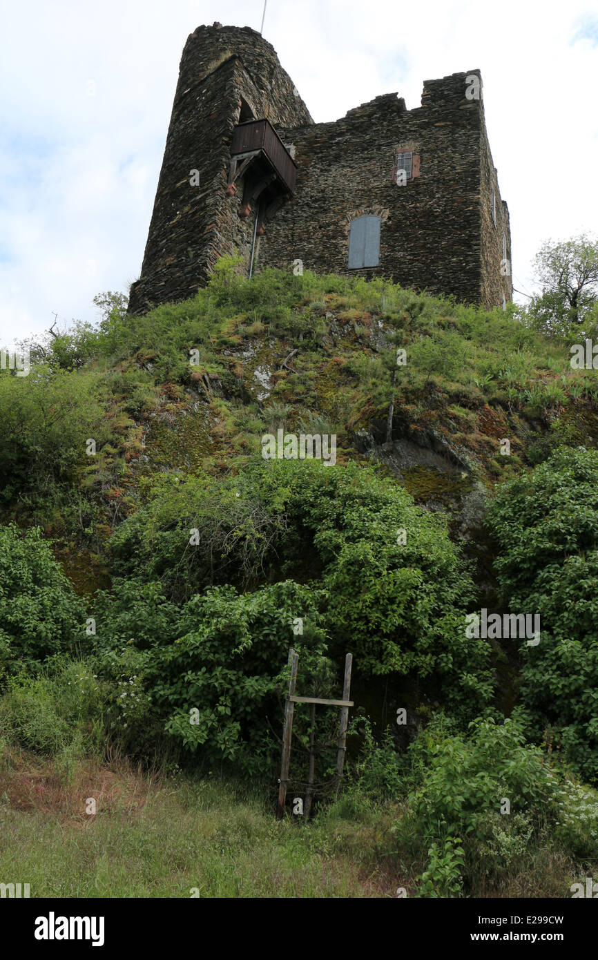 Nollig hi-res stock photography and images - Alamy