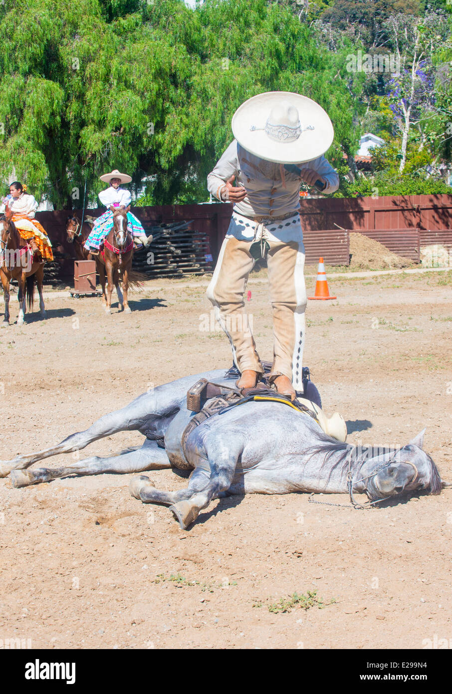 Charo hi-res stock photography and images - Alamy