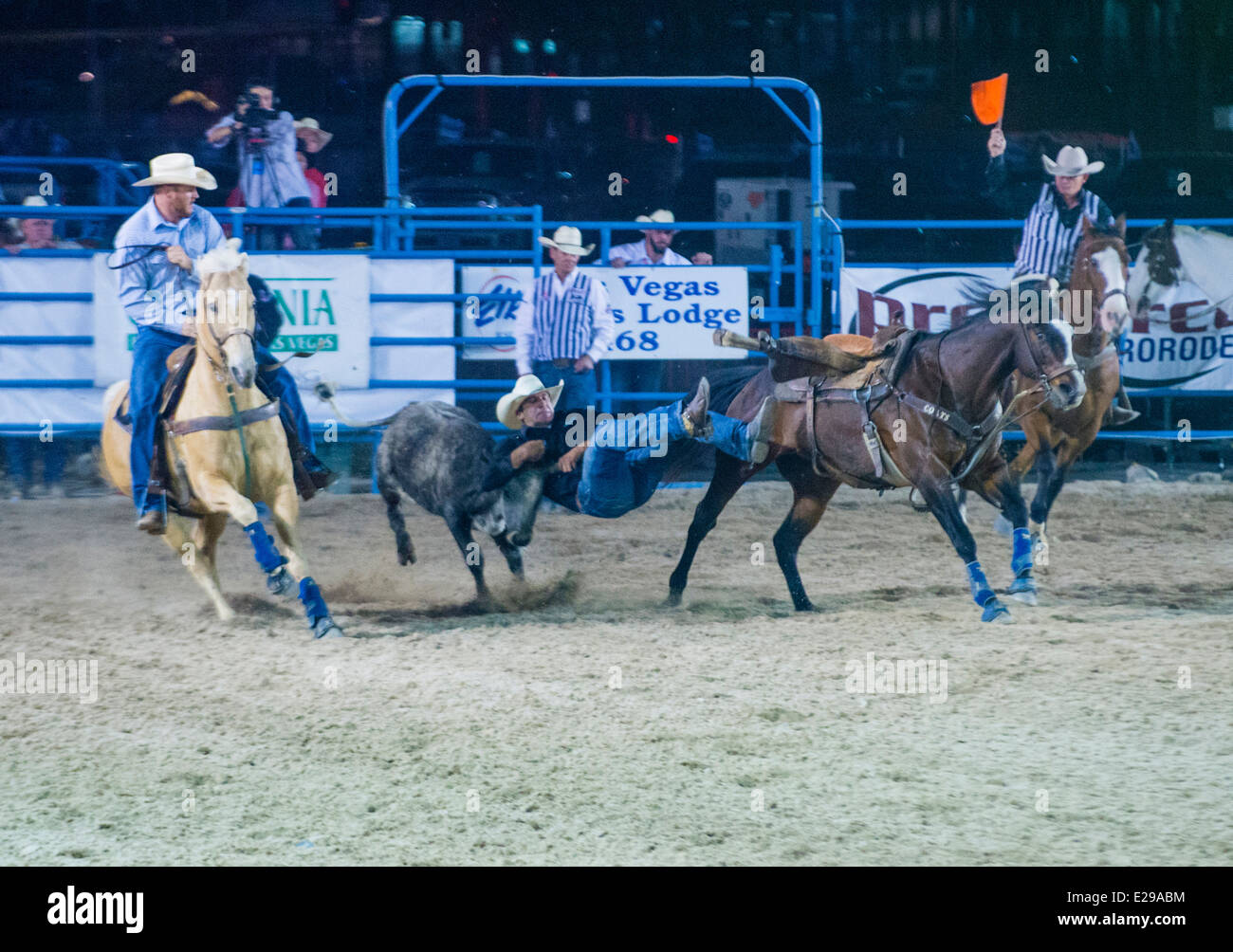 Cowboys Participating in a Calf roping Competition at the Helldorado ...