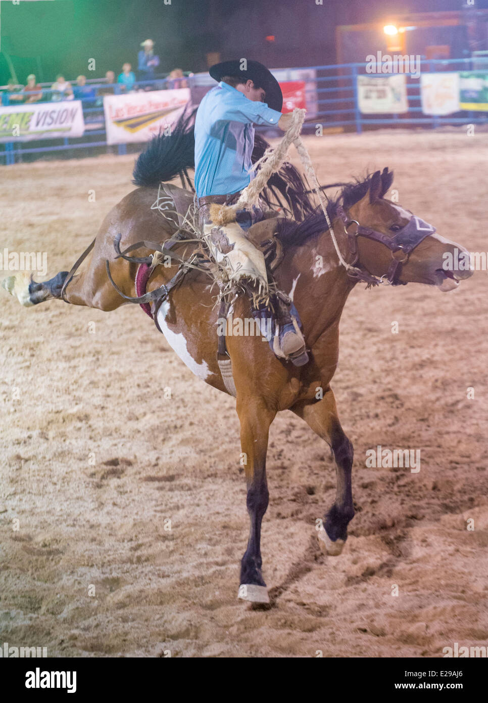 Cowboy Participating in a Bucking Horse Competition at the Helldorado ...