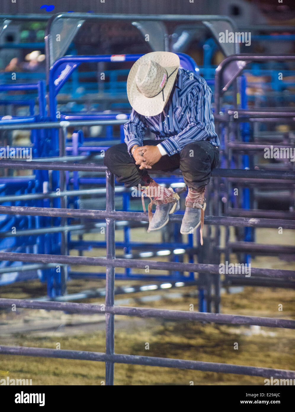 Professional rodeo cowboy on hi-res stock photography and images - Alamy