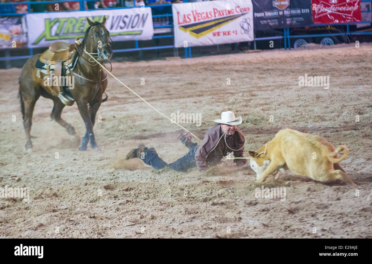 Cowboy Participating in a Calf roping Competition at the Helldorado ...
