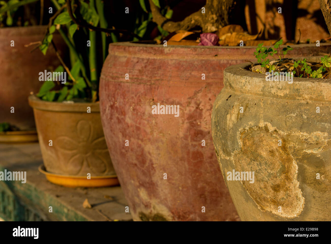 Khmer temple plant pots terracotta hi-res stock photography and images ...