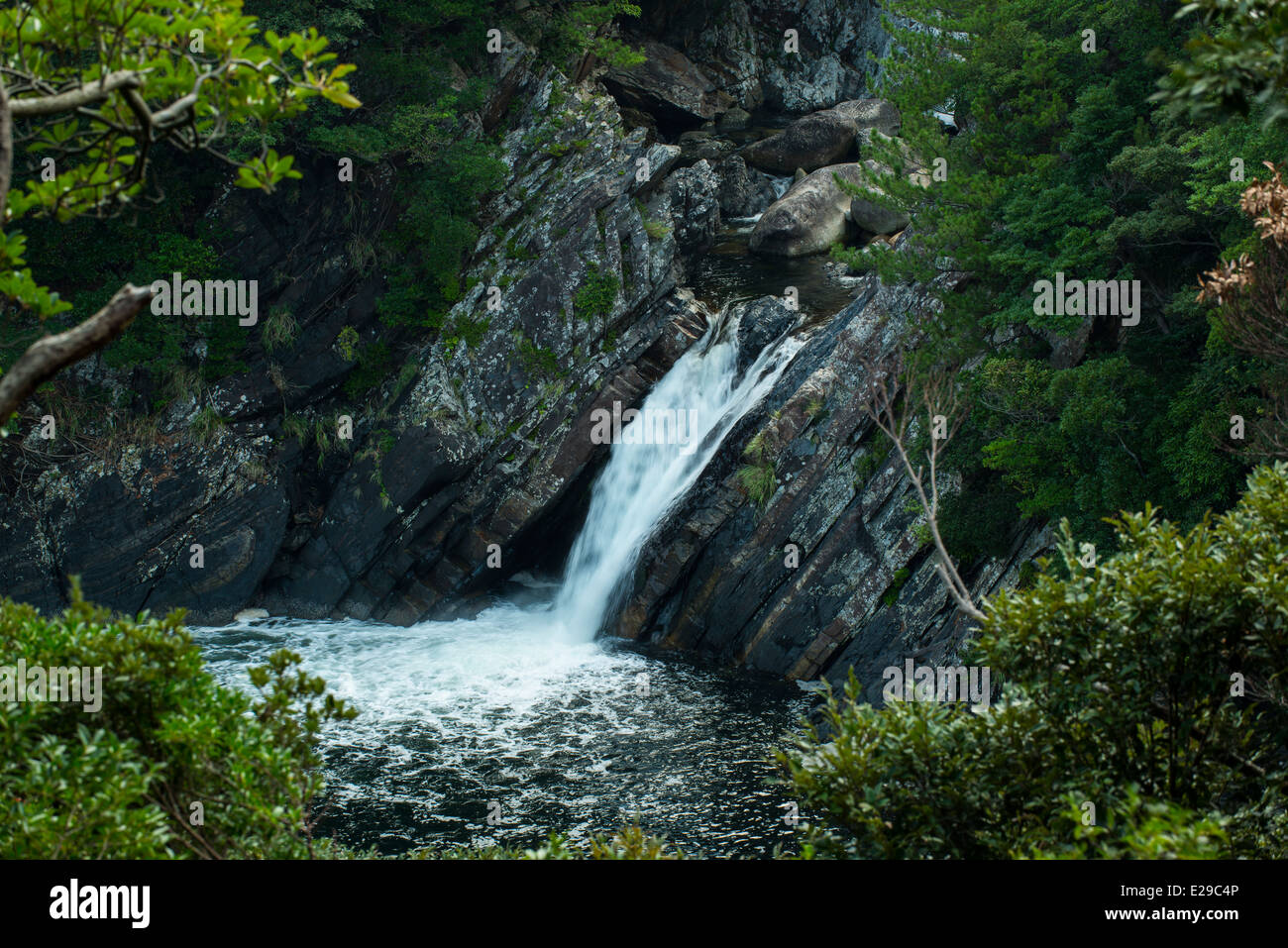 Toroki Falls, Yakushima, Kagoshima, Japan Stock Photo - Alamy