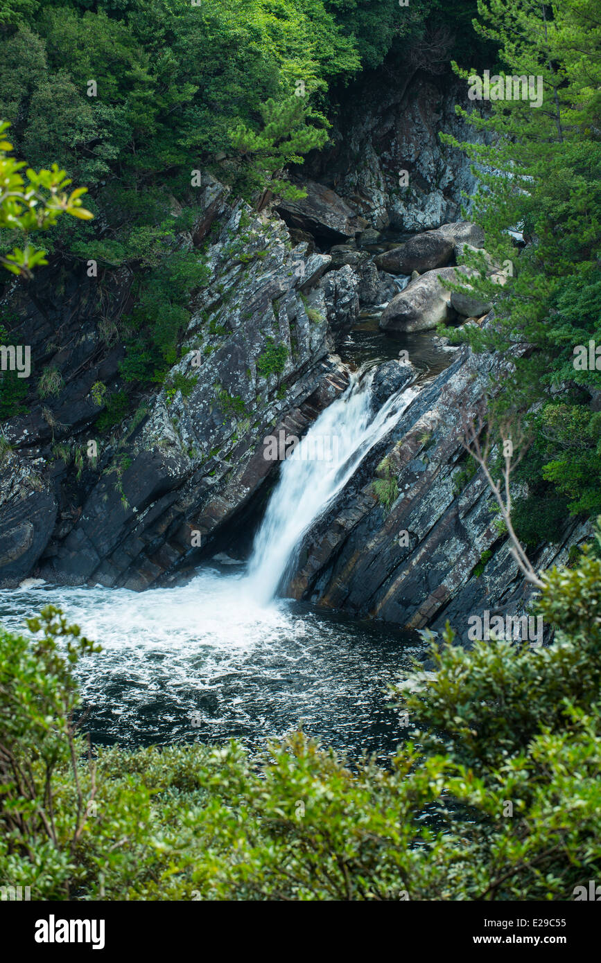 Toroki Falls, Yakushima, Kagoshima, Japan Stock Photo - Alamy