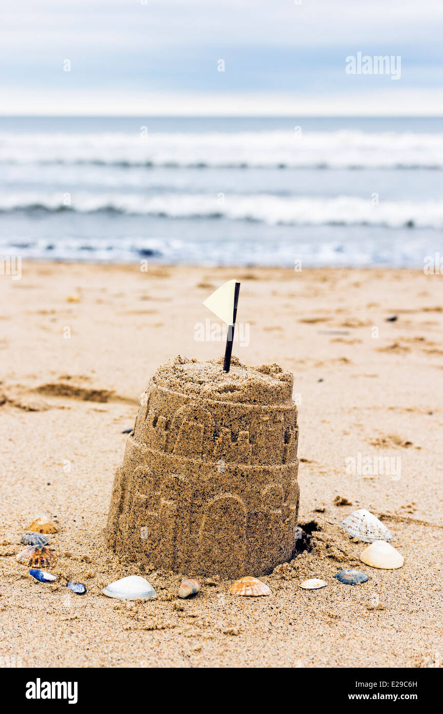 Sandcastle on beach surrounded by seashells with defocussed ocean in ...