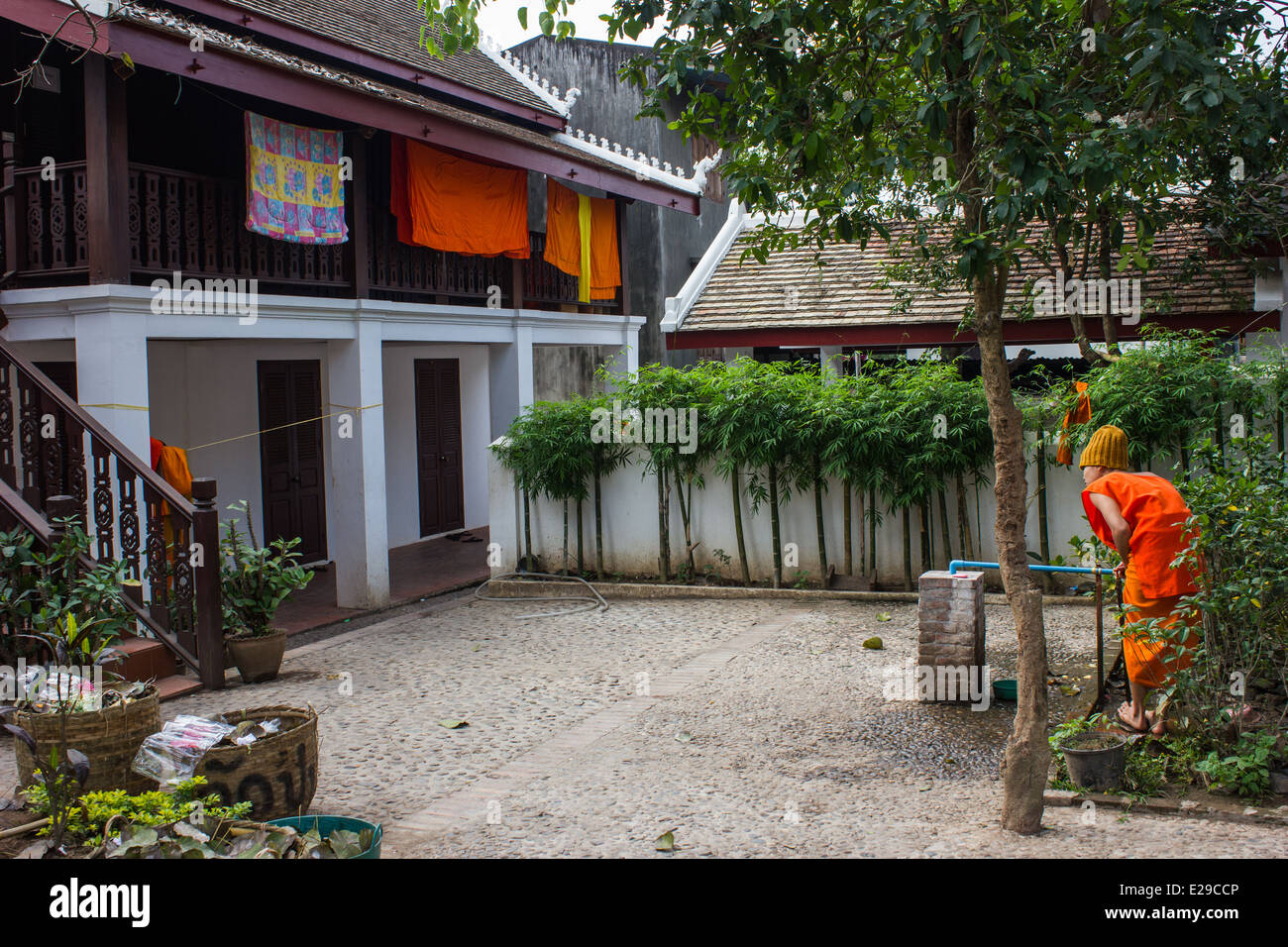Laos temple garden monk water hi-res stock photography and images - Alamy