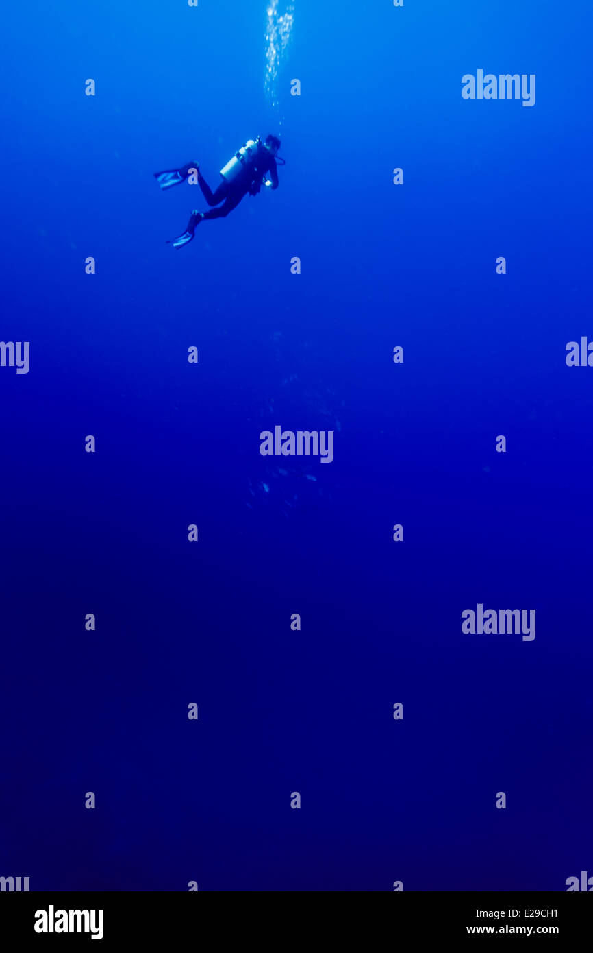 Scuba divers in open ocean Stock Photo - Alamy