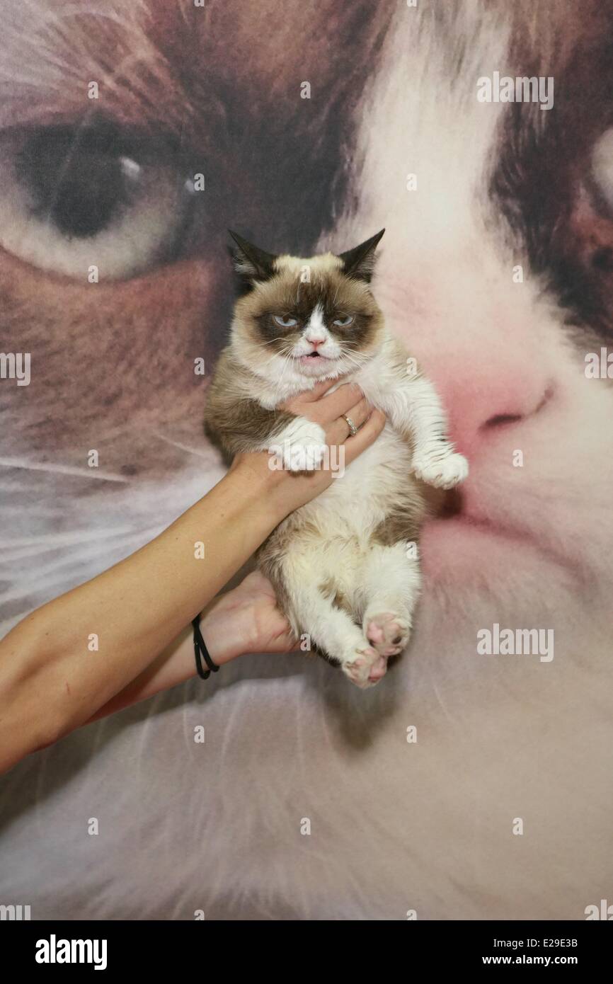 Las Vegas, NV, USA. 17th June, 2014. Grumpy Cat in attendance for Las ...
