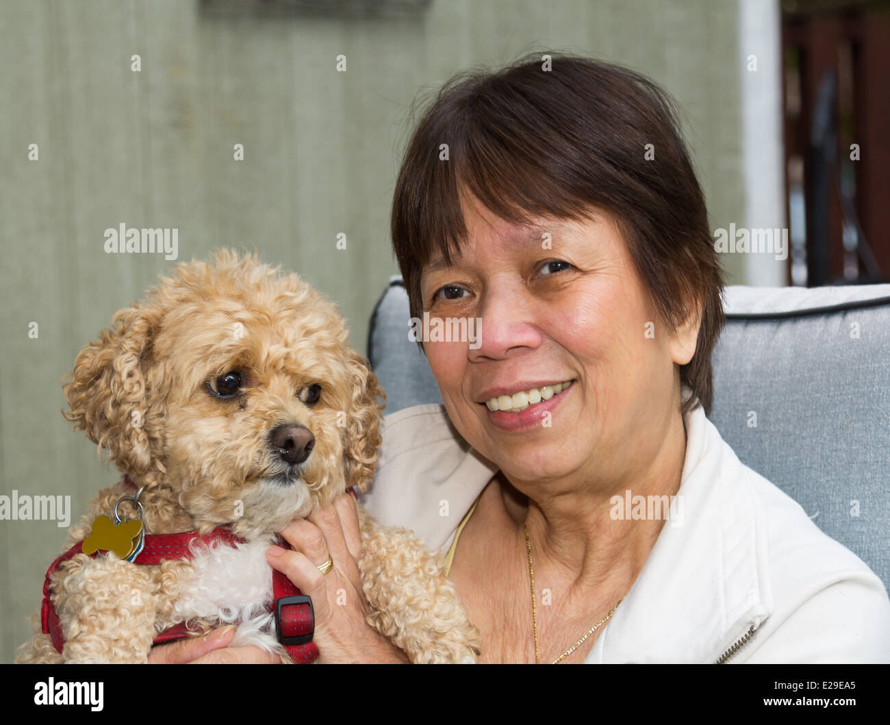 Happy old lady dog hi-res stock photography and images - Alamy