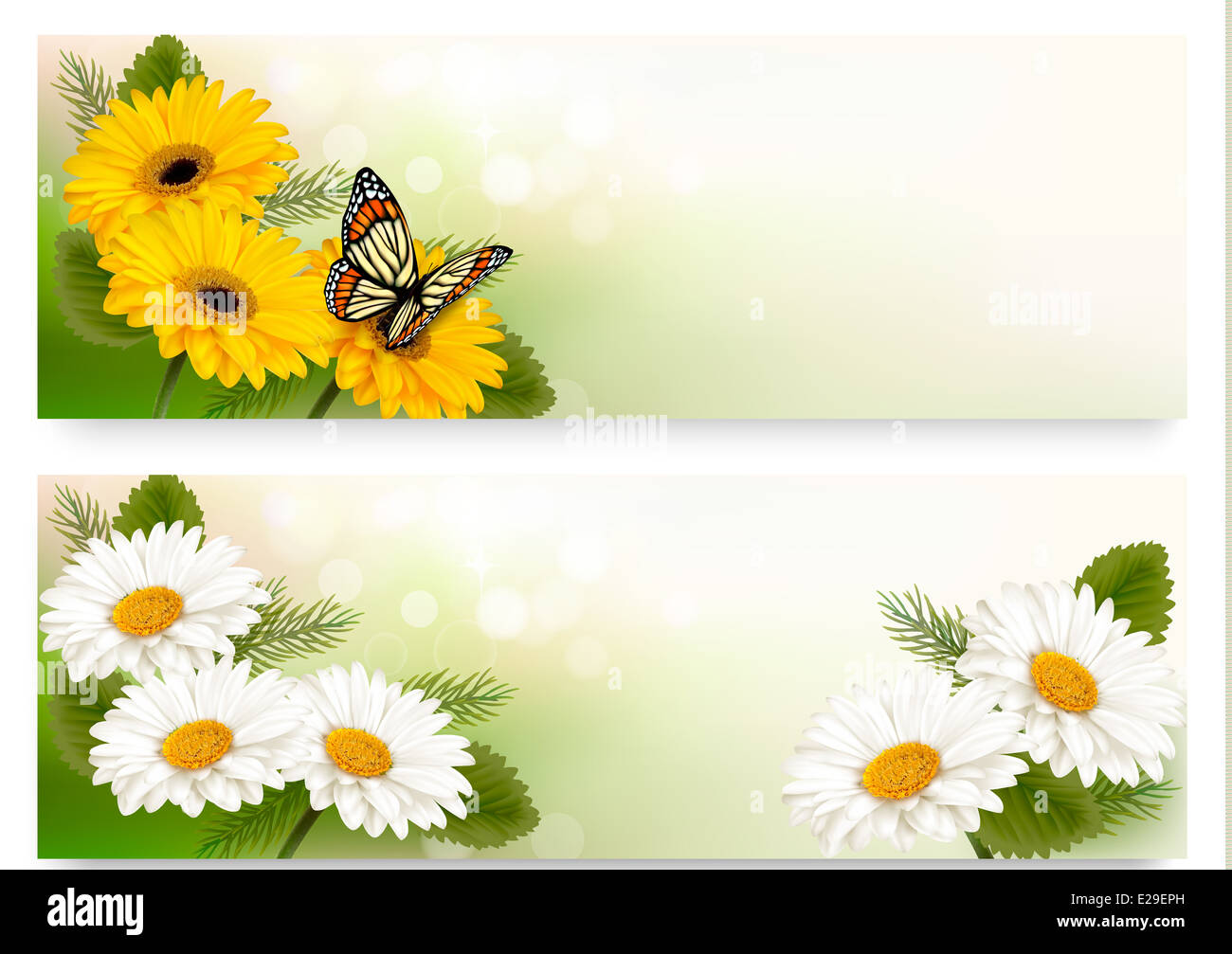Summer banners with colorful flowers and butterfly. Vector Stock Photo ...