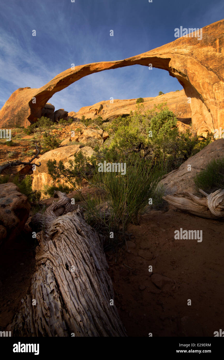 Landscape Arch, Arches National Park, Utah Stock Photo - Alamy