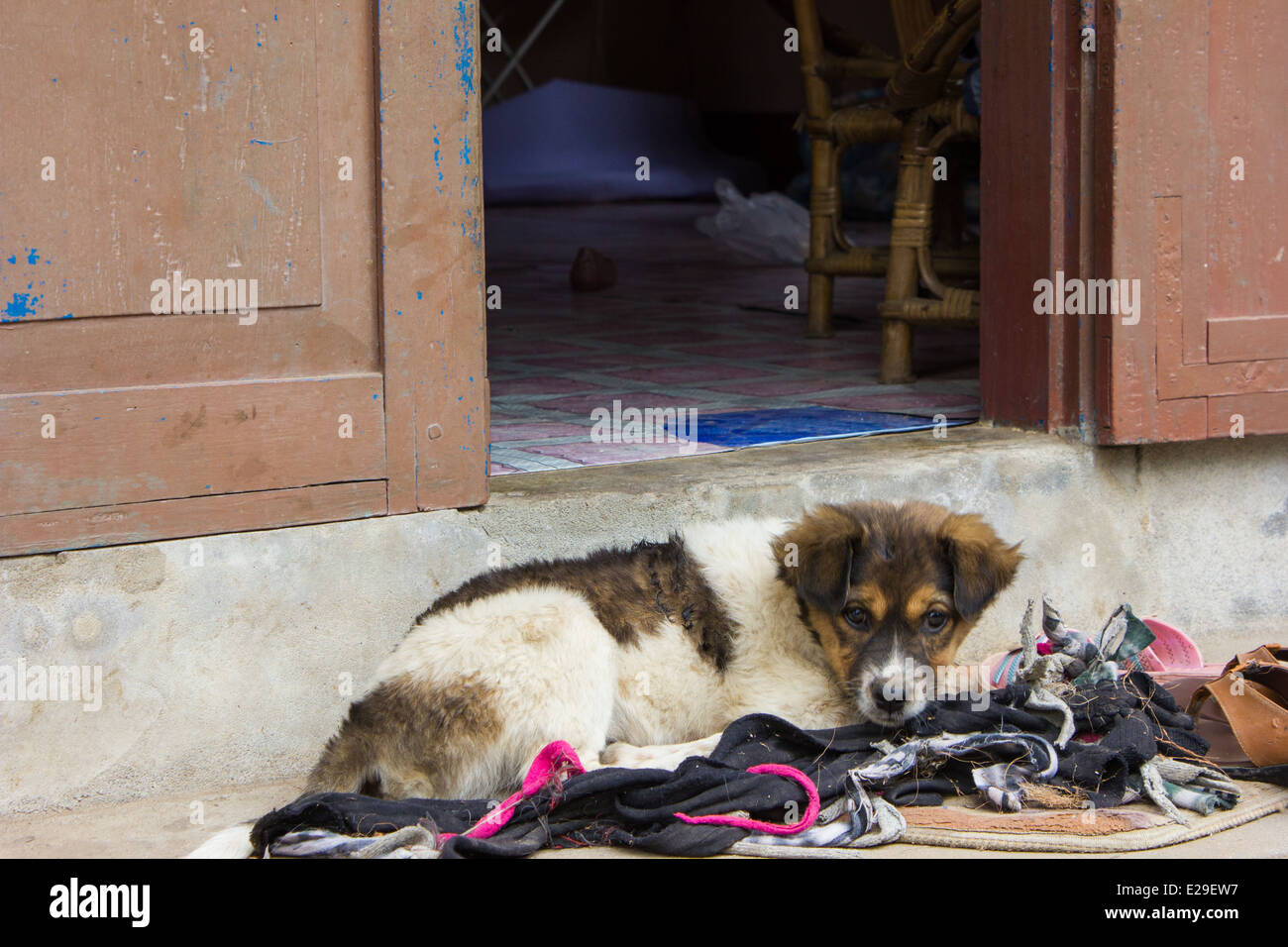 At home in a lao village hi-res stock photography and images - Alamy