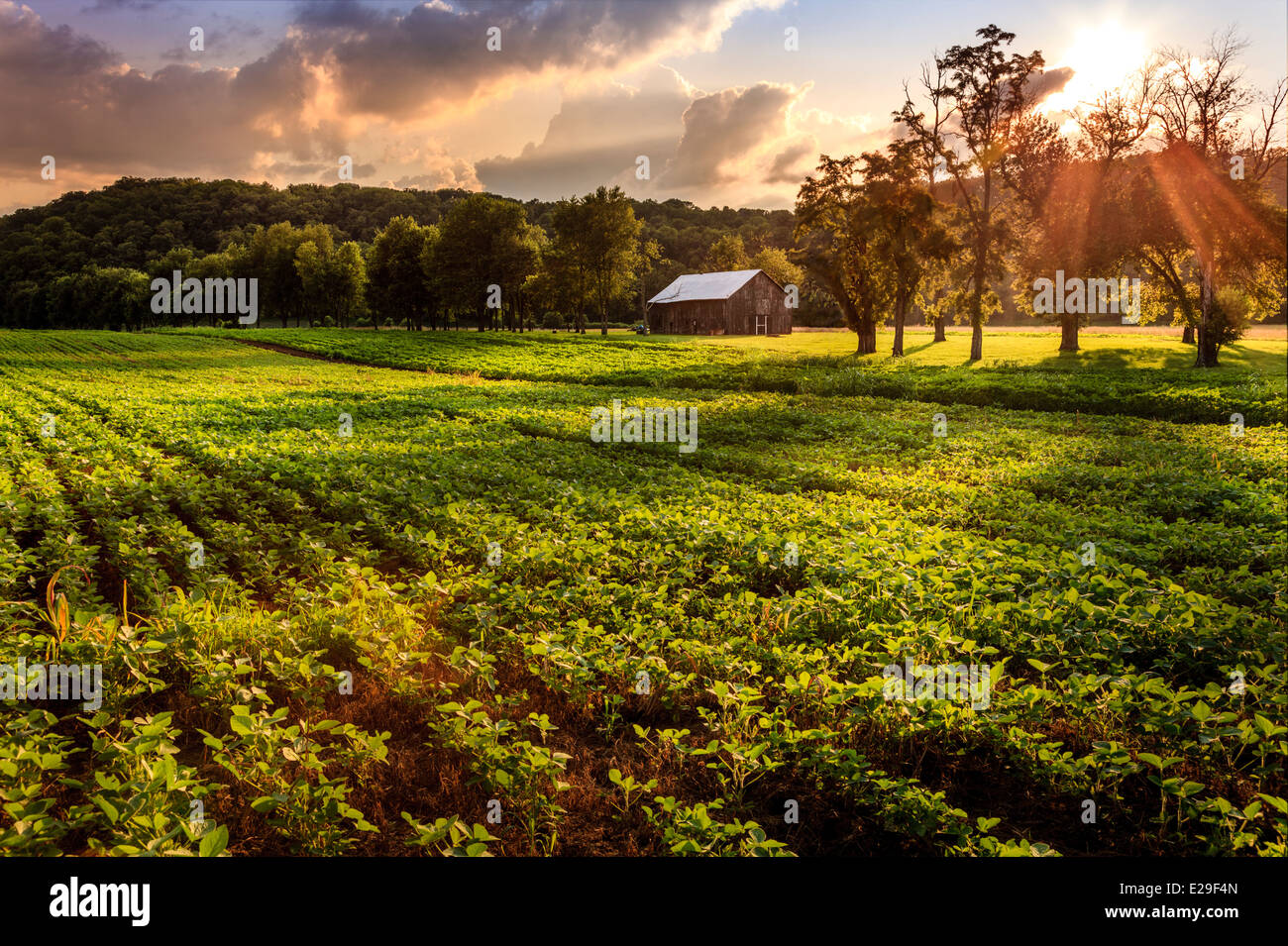 Evening scene in rural Kentucky Stock Photo - Alamy