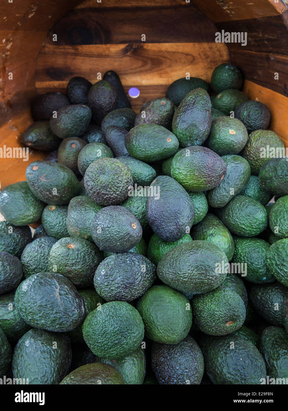 Gold coast food market hi-res stock photography and images - Alamy