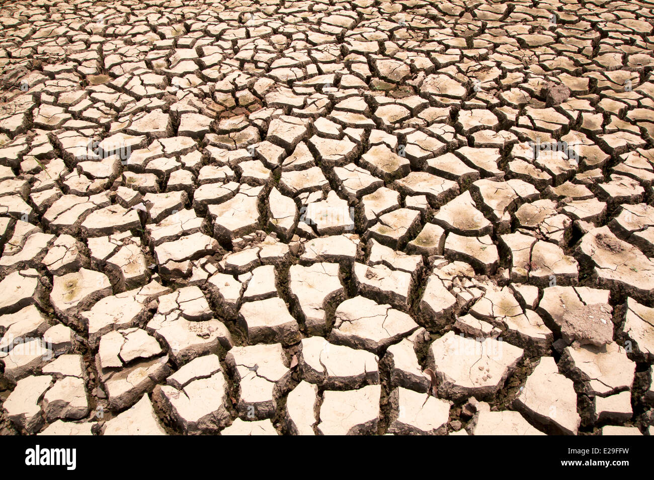 Soil fissures hi-res stock photography and images - Alamy