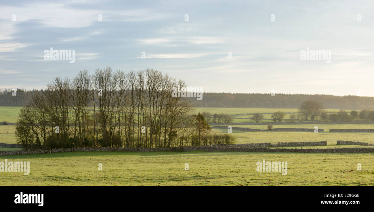 Dry stone wall mendip hills hi-res stock photography and images - Alamy