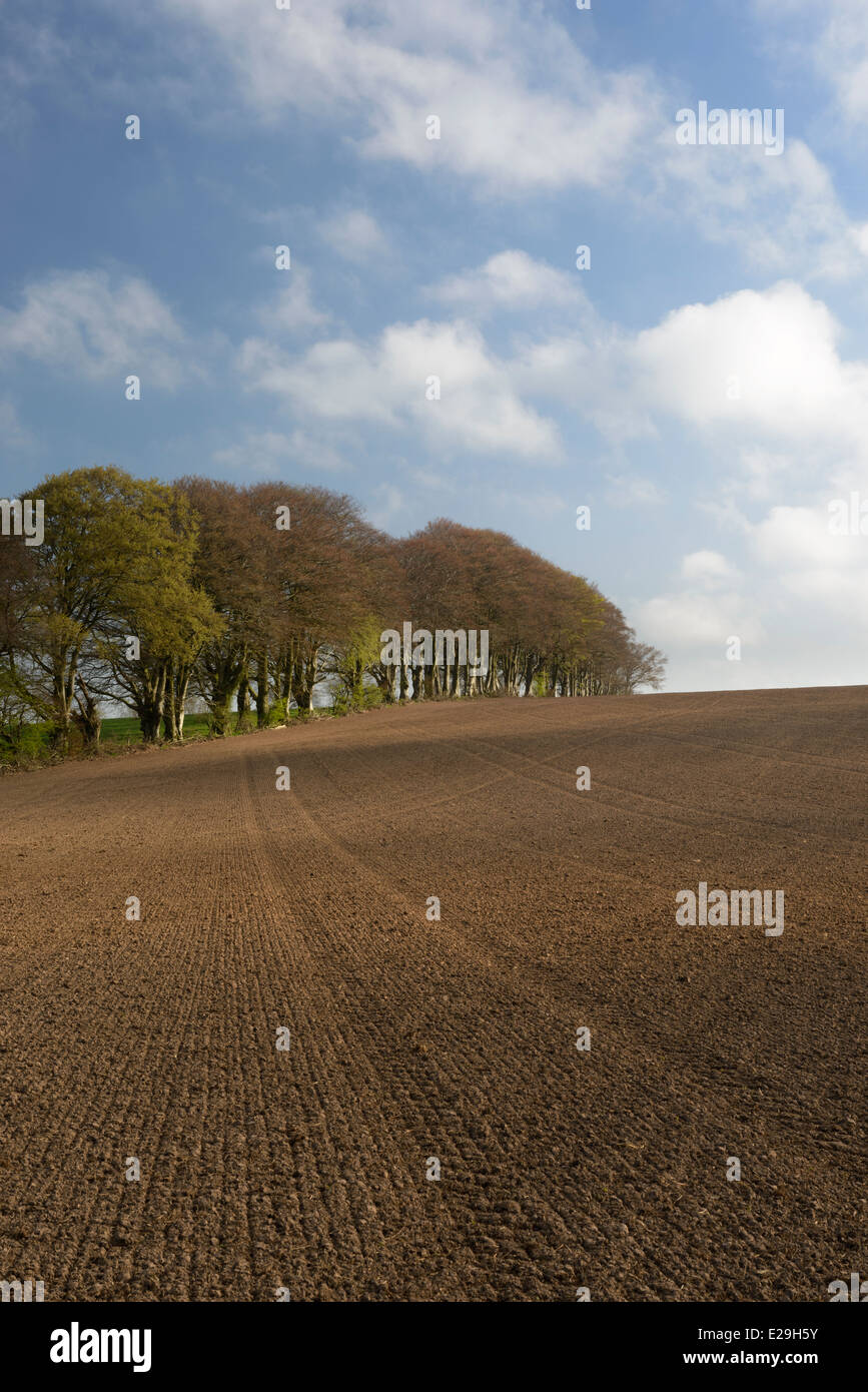 Trees and farmland trees and farmland hi-res stock photography and ...
