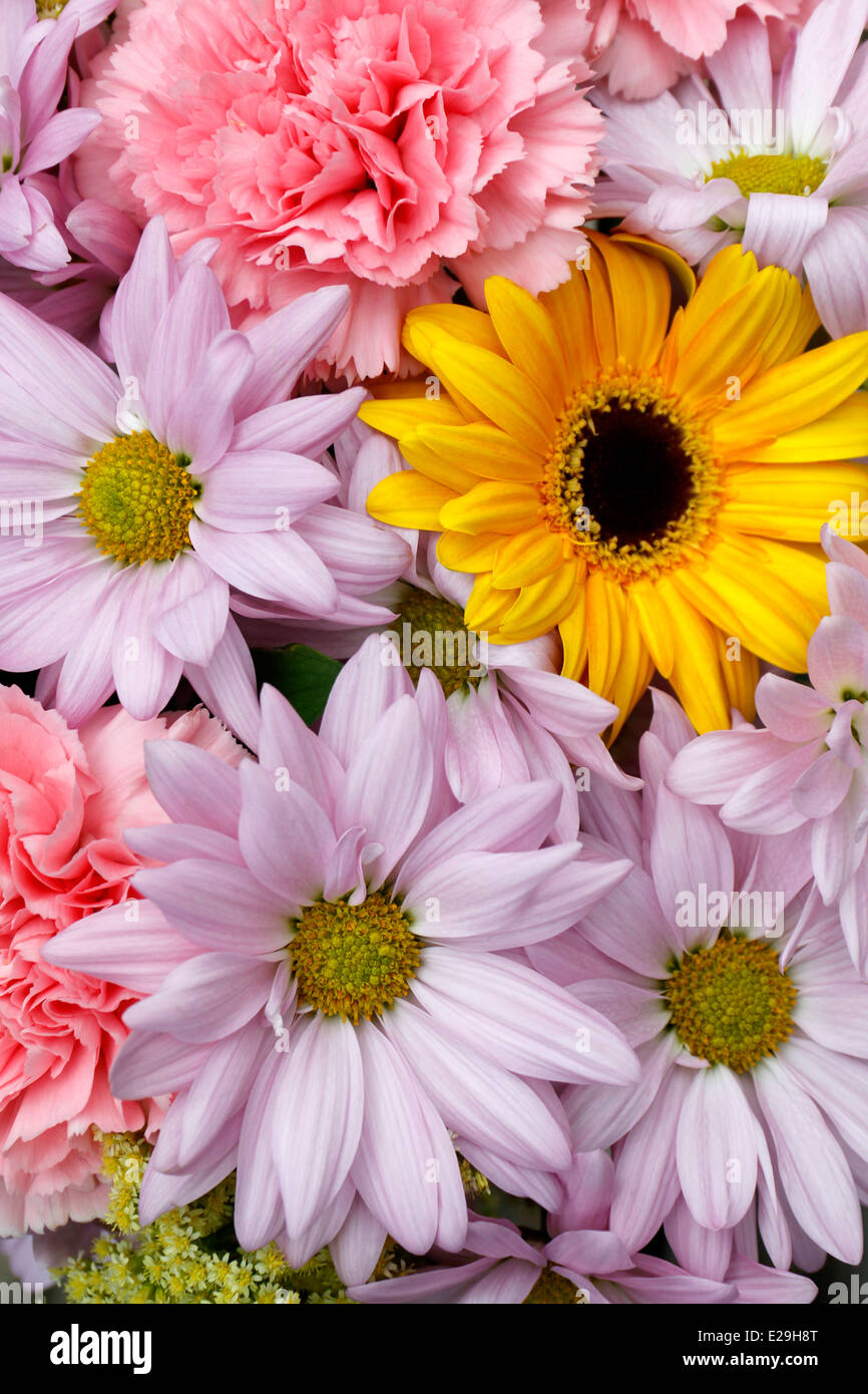 Close-up photograph of colorful flower bouquet Stock Photo - Alamy