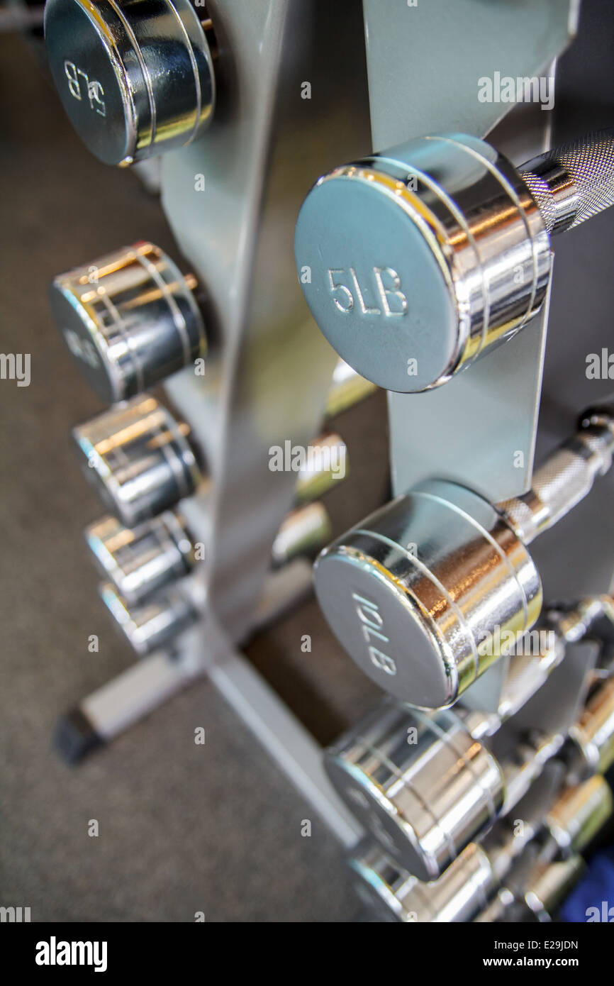 Dumbbell gym metal weights rack hi-res stock photography and images - Alamy