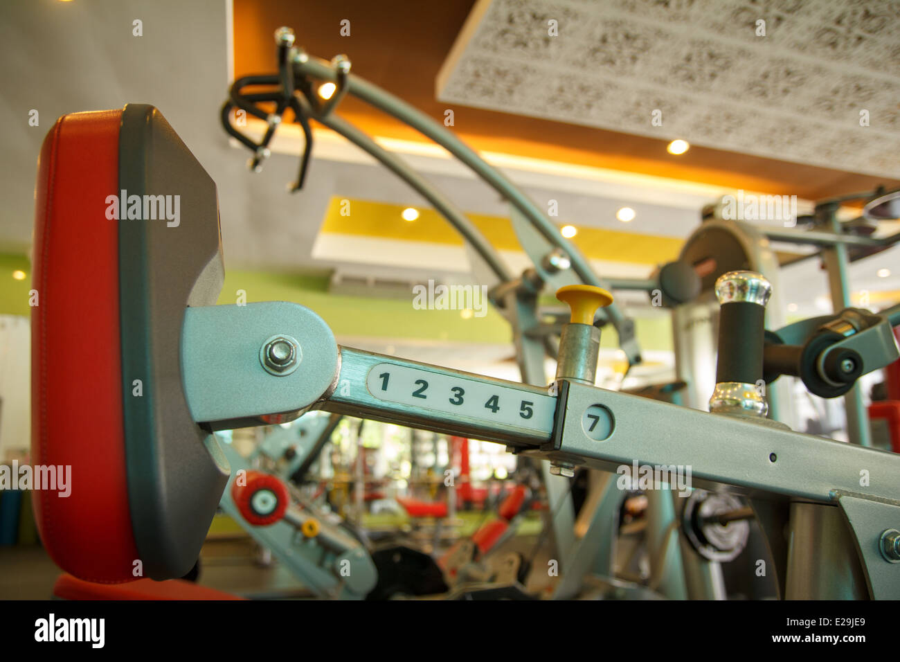 Body building hi-res stock photography and images - Alamy