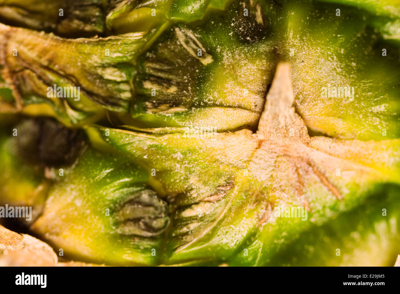 Pineapple abstract hi-res stock photography and images - Alamy