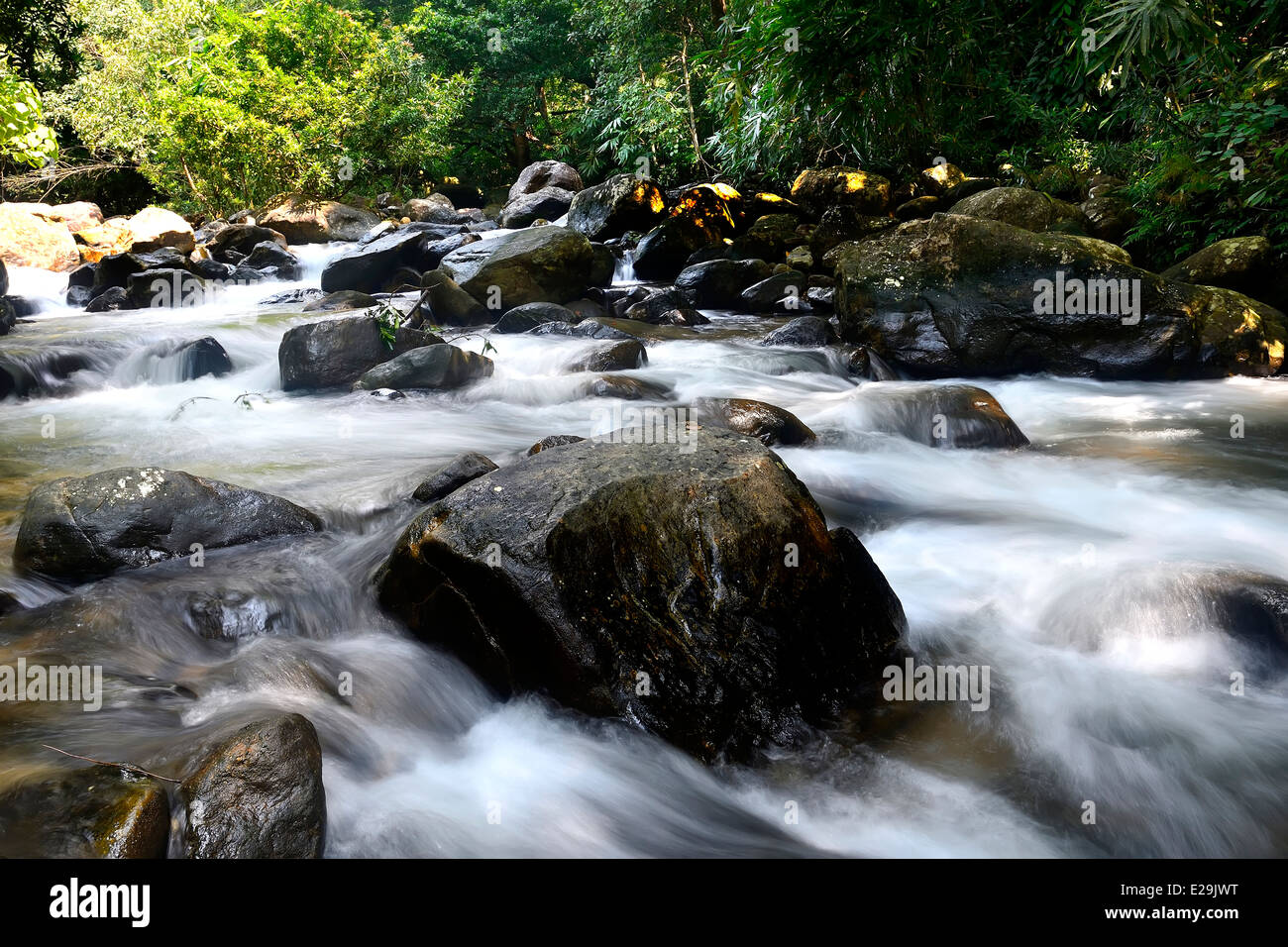 Palaruvi waterfalls hi-res stock photography and images - Alamy