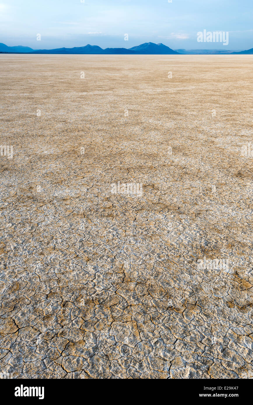 Dry bed of Alvord Lake in Southeastern Oregon Stock Photo - Alamy