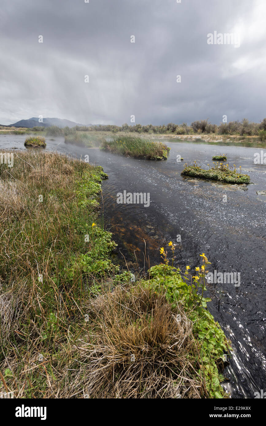 Monkey hot springs hi-res stock photography and images - Alamy