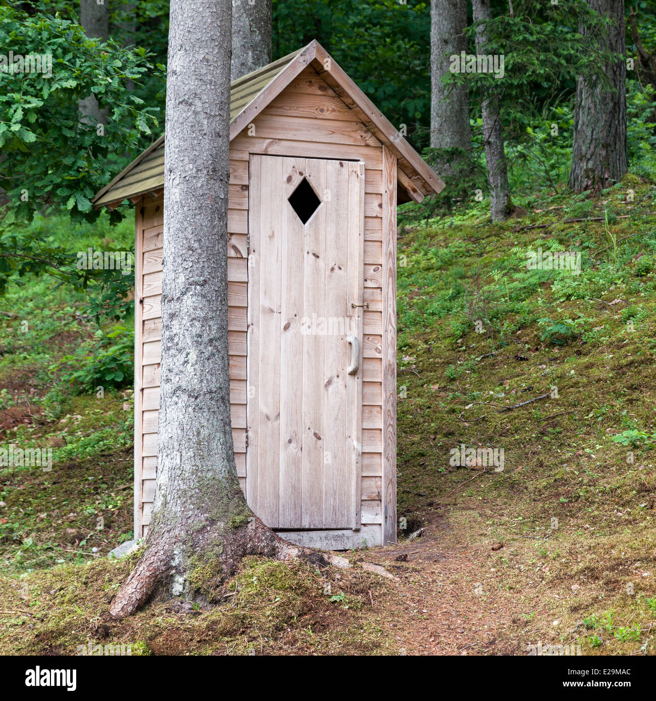Small wooden outdoors toilet in the forest Stock Photo - Alamy