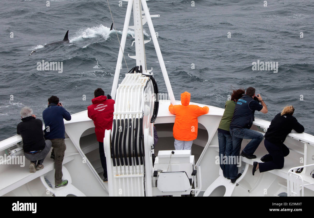Antarctica, cruise on Boreal ship under Captain Etienne Garcia autority ...