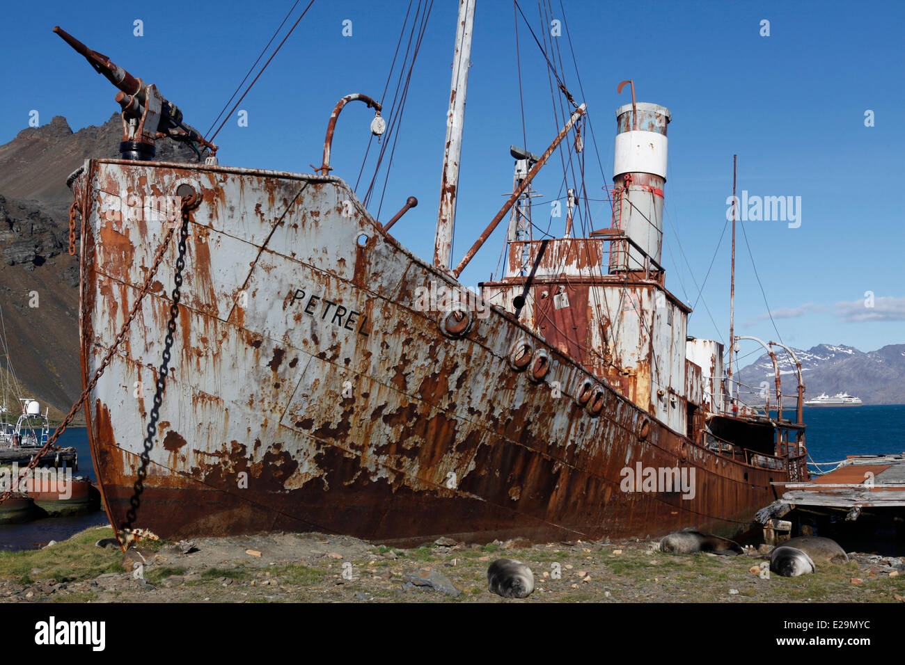 Carl anton larsen hi-res stock photography and images - Alamy