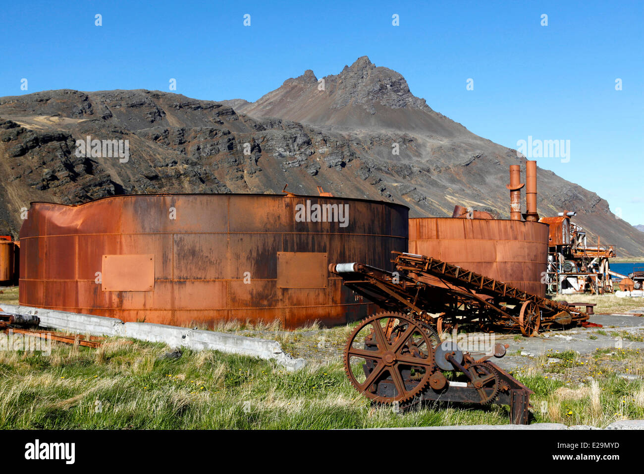 Antarctica, cruise on Boreal ship, South Georgia Island, Grytviken ...
