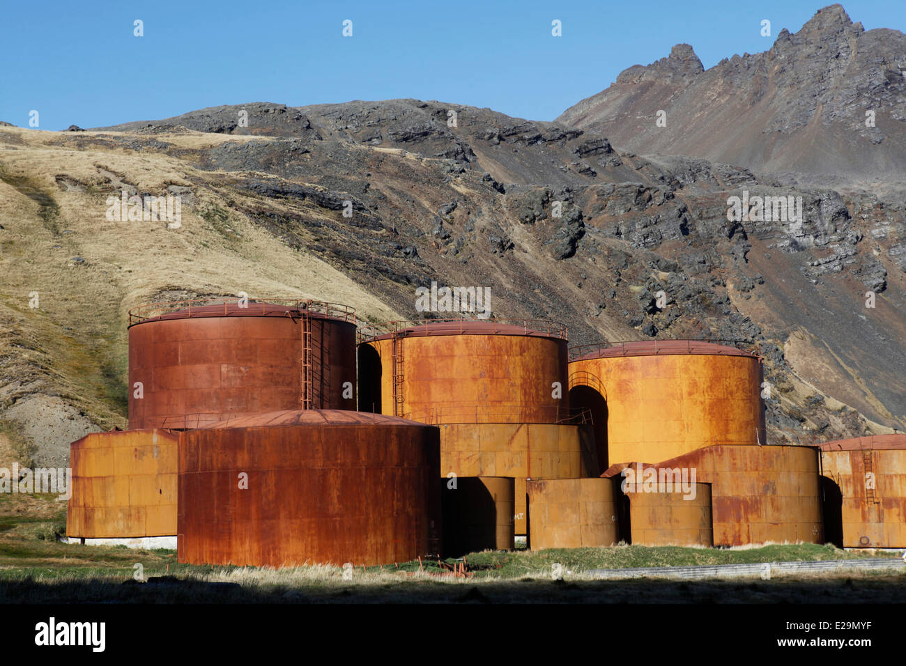 Antarctica, cruise on Boreal ship, South Georgia Island, Grytviken ...