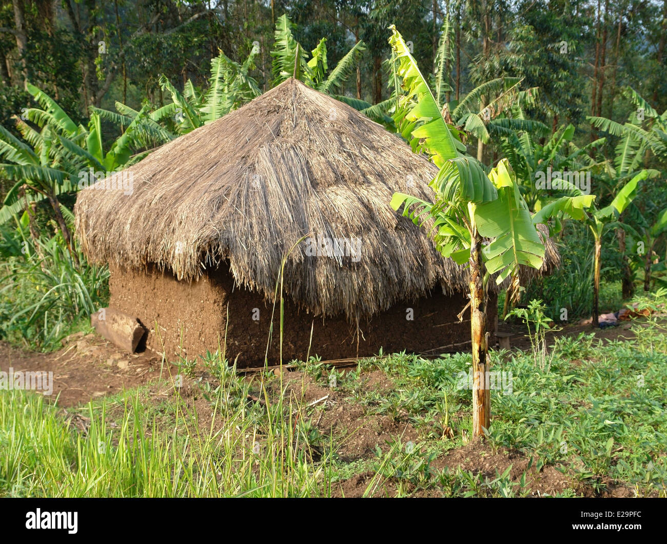 Mud hut uganda hi-res stock photography and images - Alamy