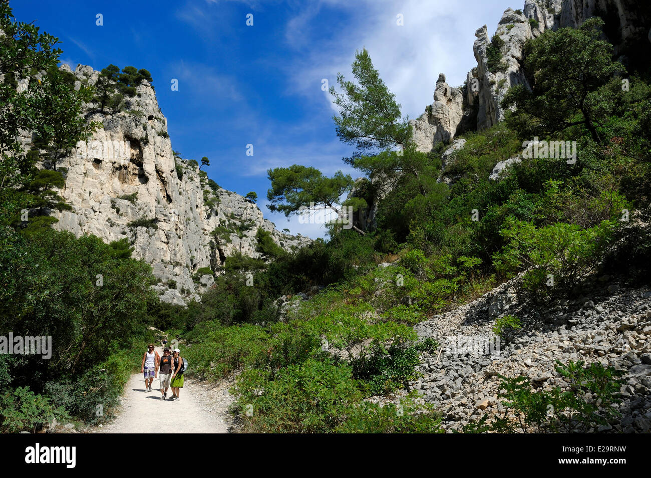 France, Bouches du Rhone, Cassis, the path leading to the En Vau creek ...