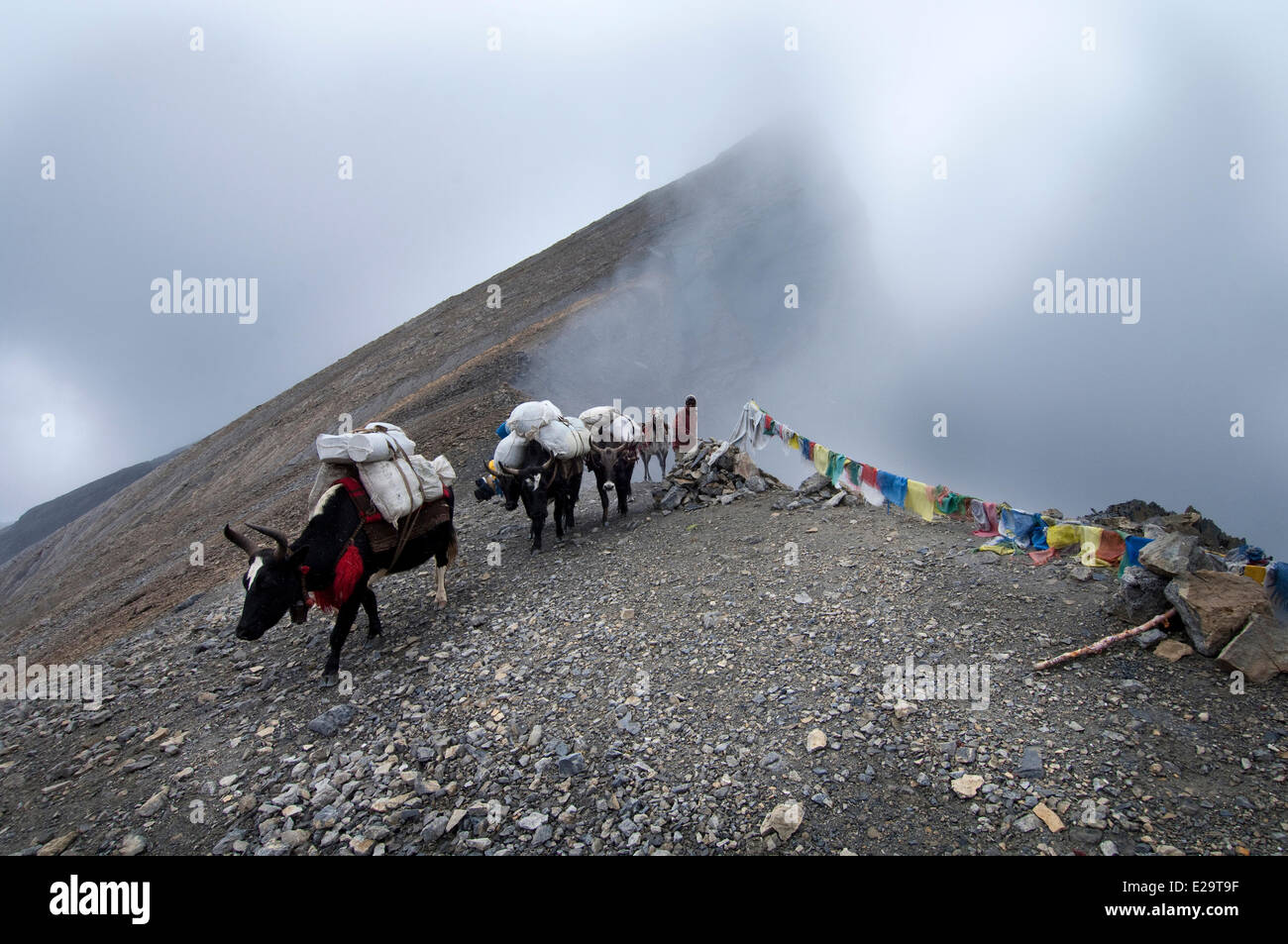Nepal karnali zone dolpo region hi-res stock photography and images - Alamy