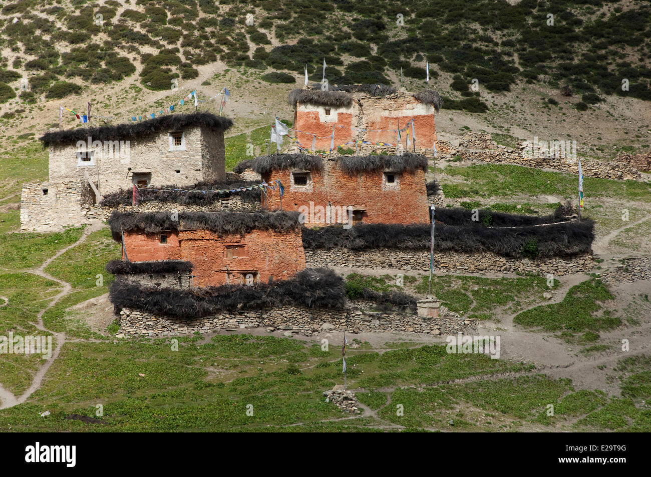 Nepal, Karnali Zone, Dolpo Region, Shey, village Stock Photo - Alamy