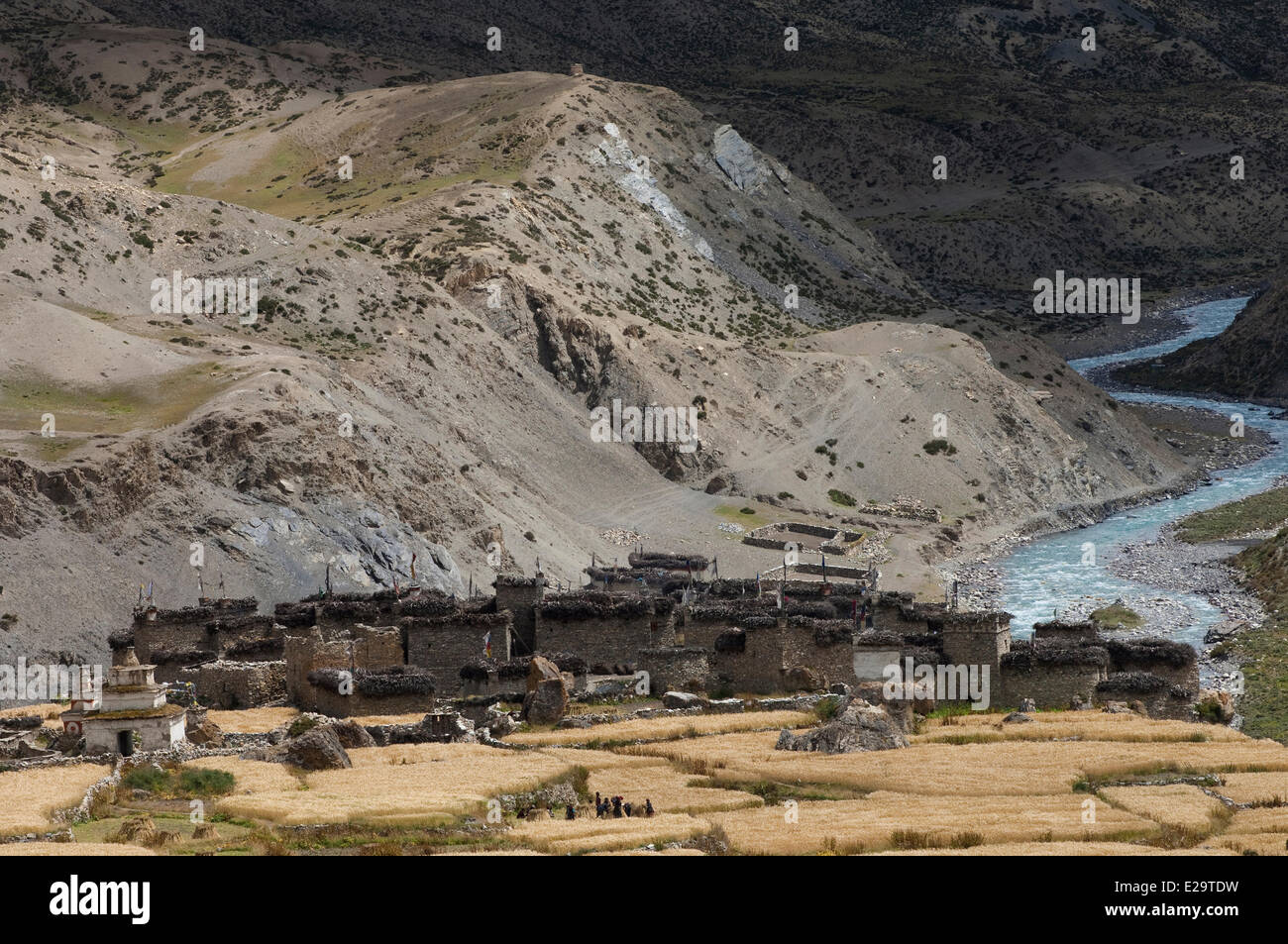 Nepal, Karnali Zone, Dolpo Region, Charkha Stock Photo - Alamy