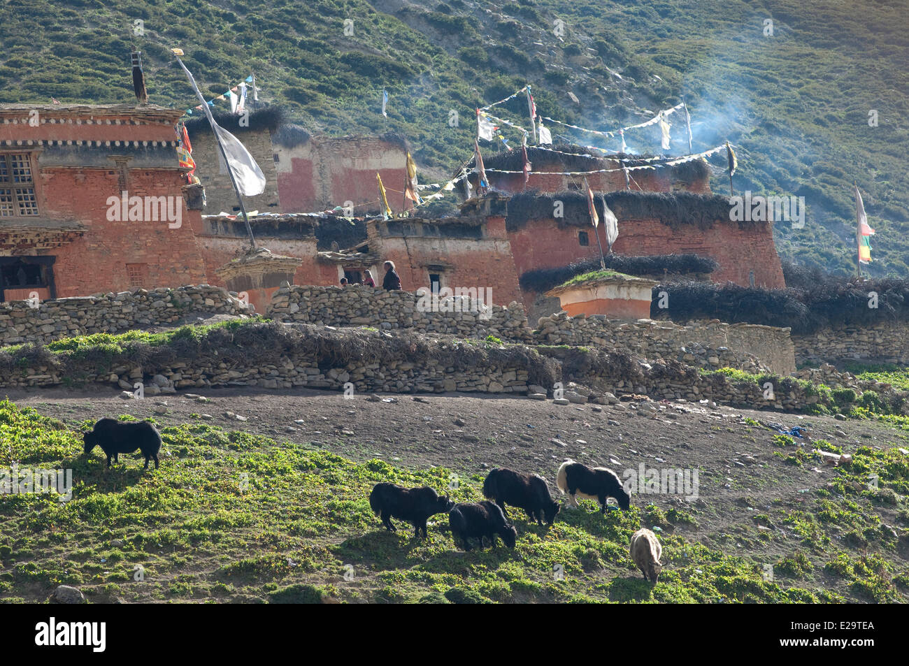 Nepal, Karnali Zone, Dolpo Region, Shey, village and gompa Stock Photo ...