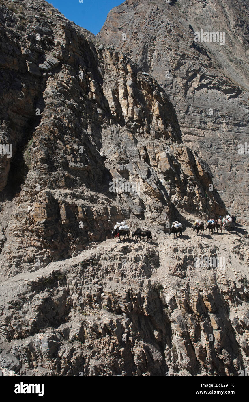 Nepal karnali zone dolpo region hi-res stock photography and images - Alamy