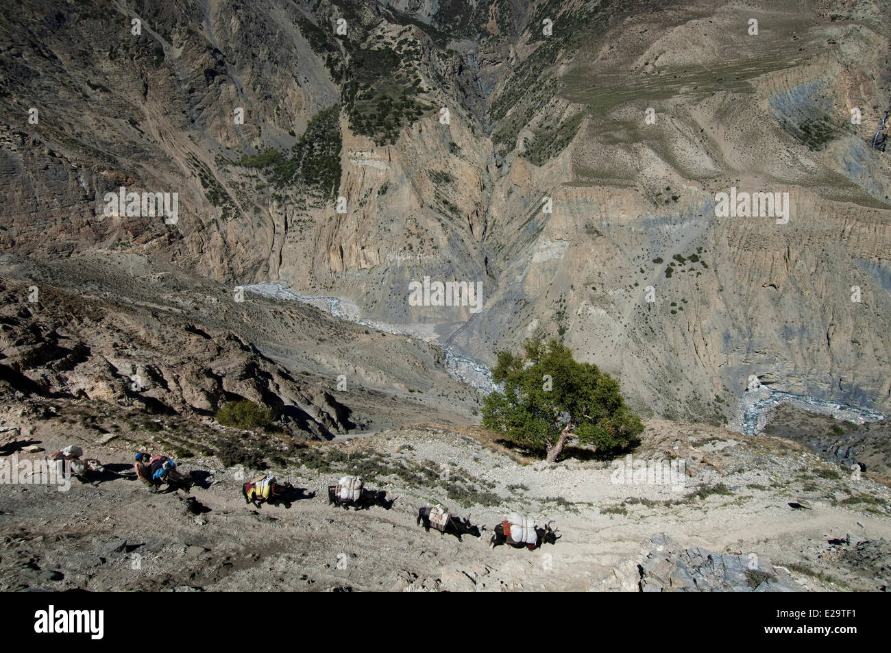 Nepal karnali zone dolpo region hi-res stock photography and images - Alamy