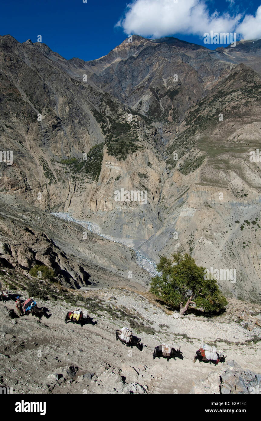 Karnali district hi-res stock photography and images - Alamy