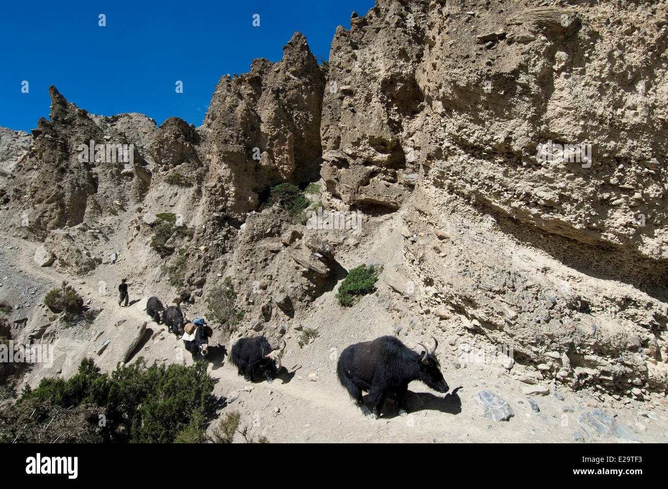 Nepal karnali zone dolpo region hi-res stock photography and images - Alamy