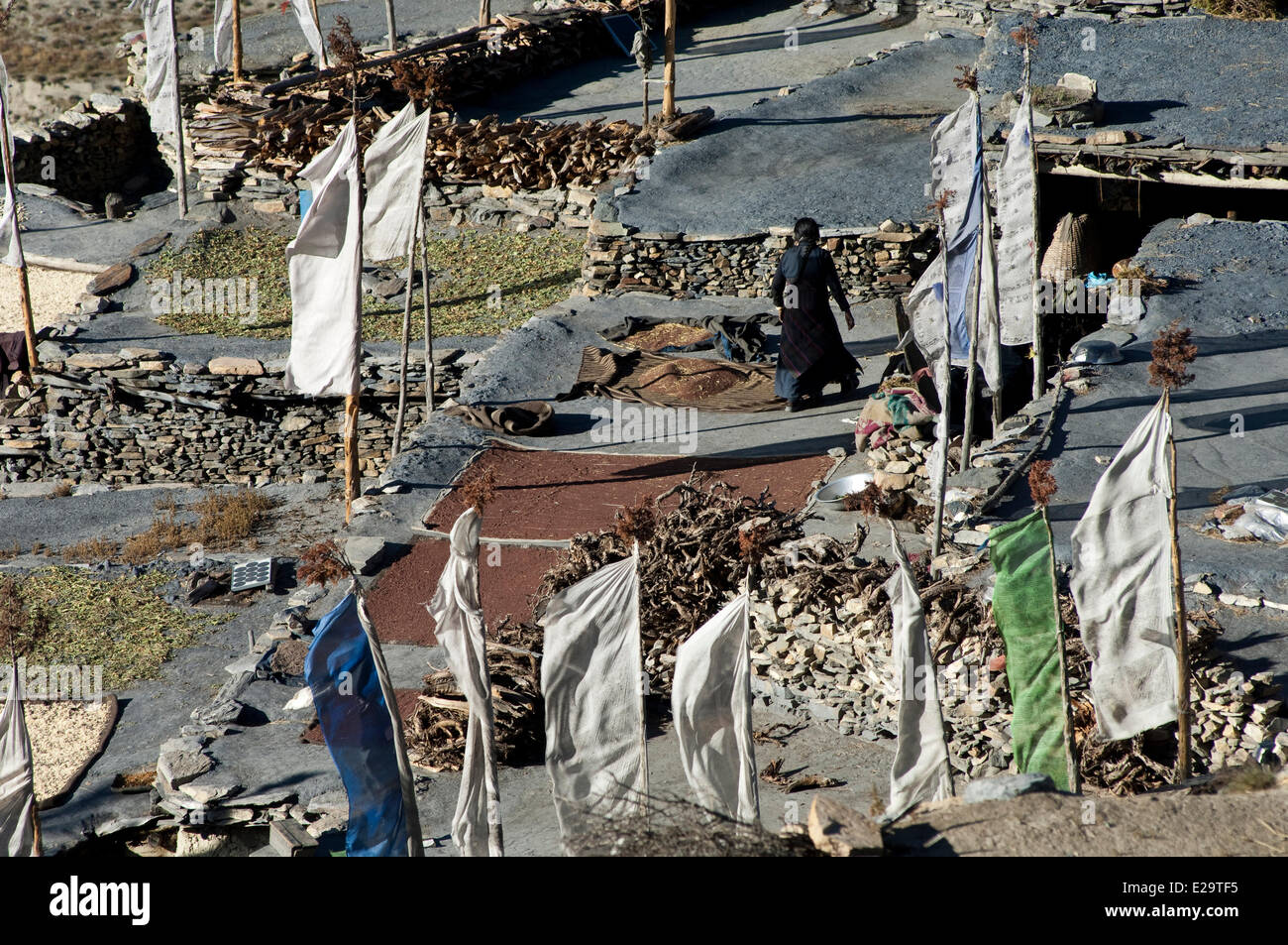 Nepal, Karnali Zone, Dolpo Region, Sangdak Stock Photo - Alamy