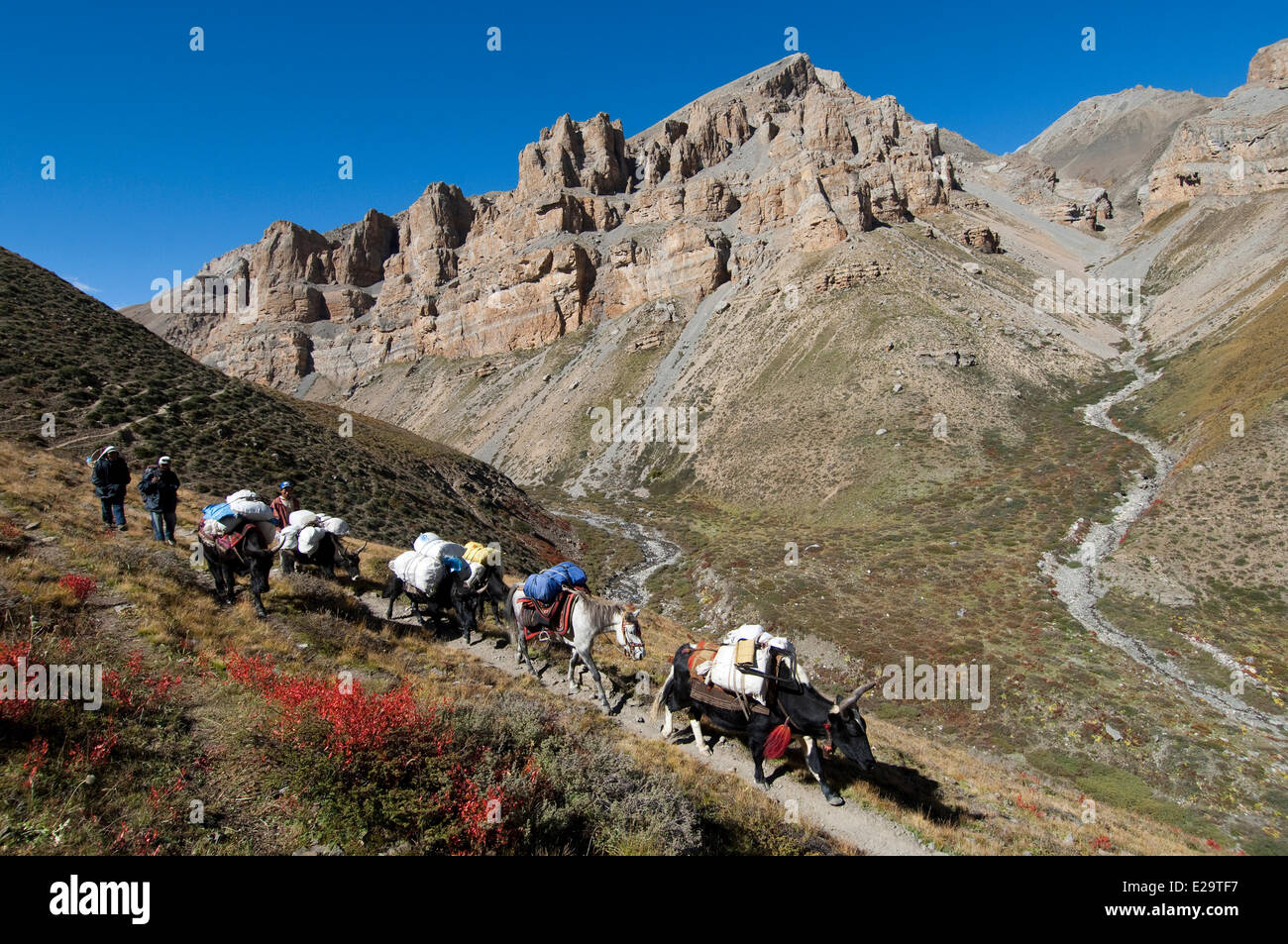 Nepal, Karnali Zone, Dolpo Region, below Jengla Pass (4945 m Stock ...