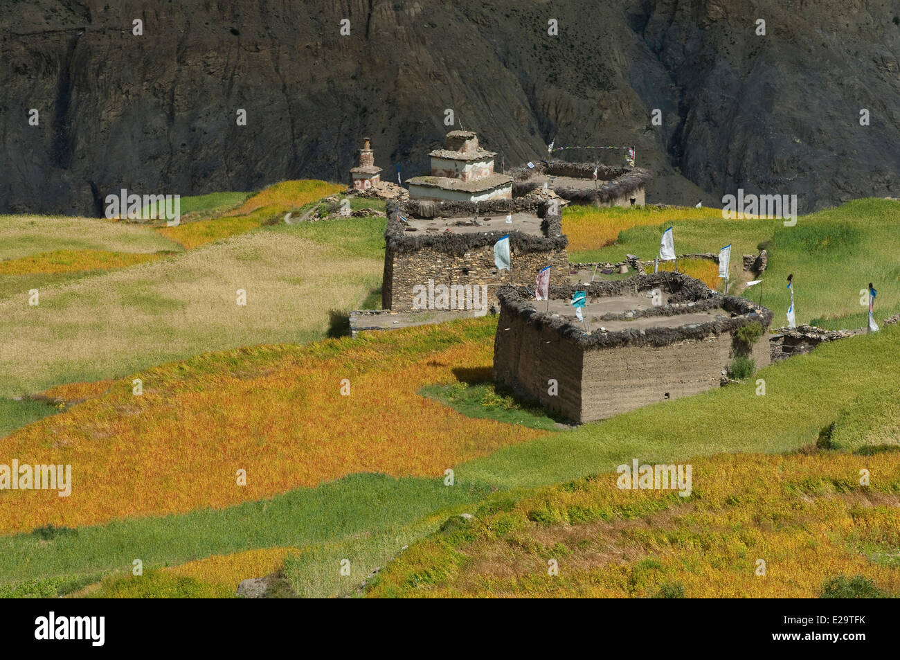 Nepal Karnali Zone Dolpo Region Stock Photos & Nepal Karnali Zone Dolpo ...