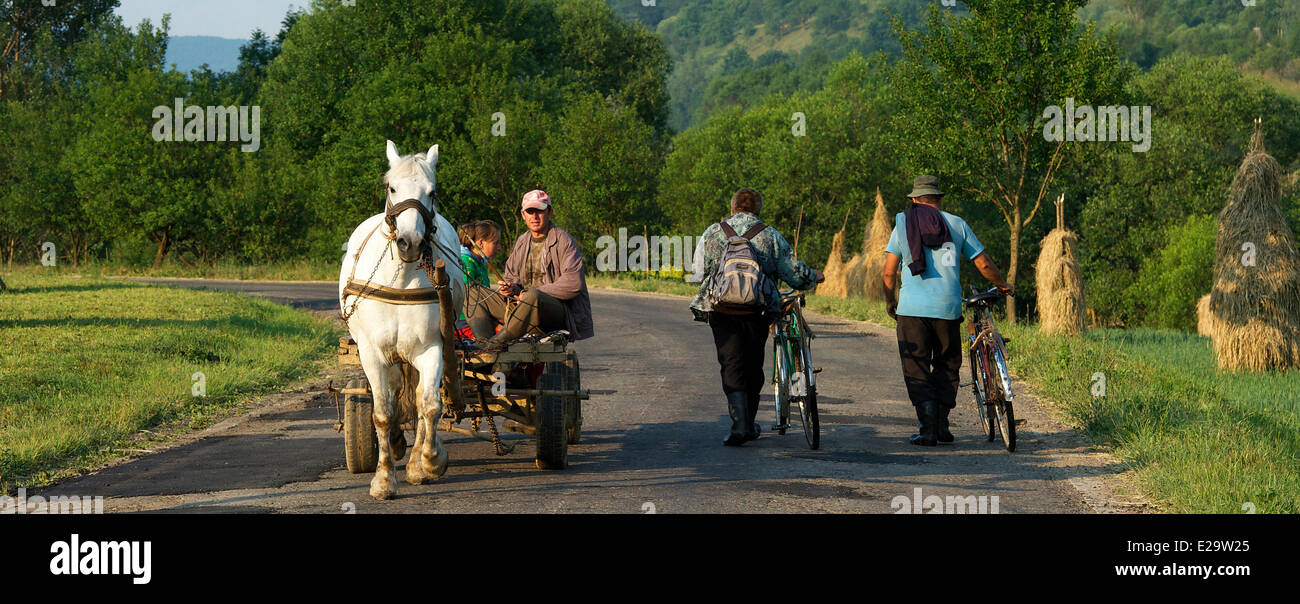 Romania, Carpathian Mountains, Maramures region, Iza valley, village of Botiza Stock Photo - Alamy