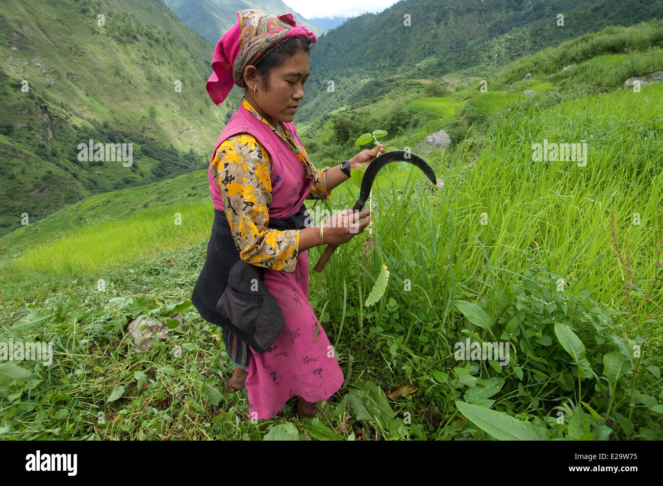 Nepal, Bagmati Zone, Rasuwa District, Trisuli Valley, Gatlang, Tamang ...