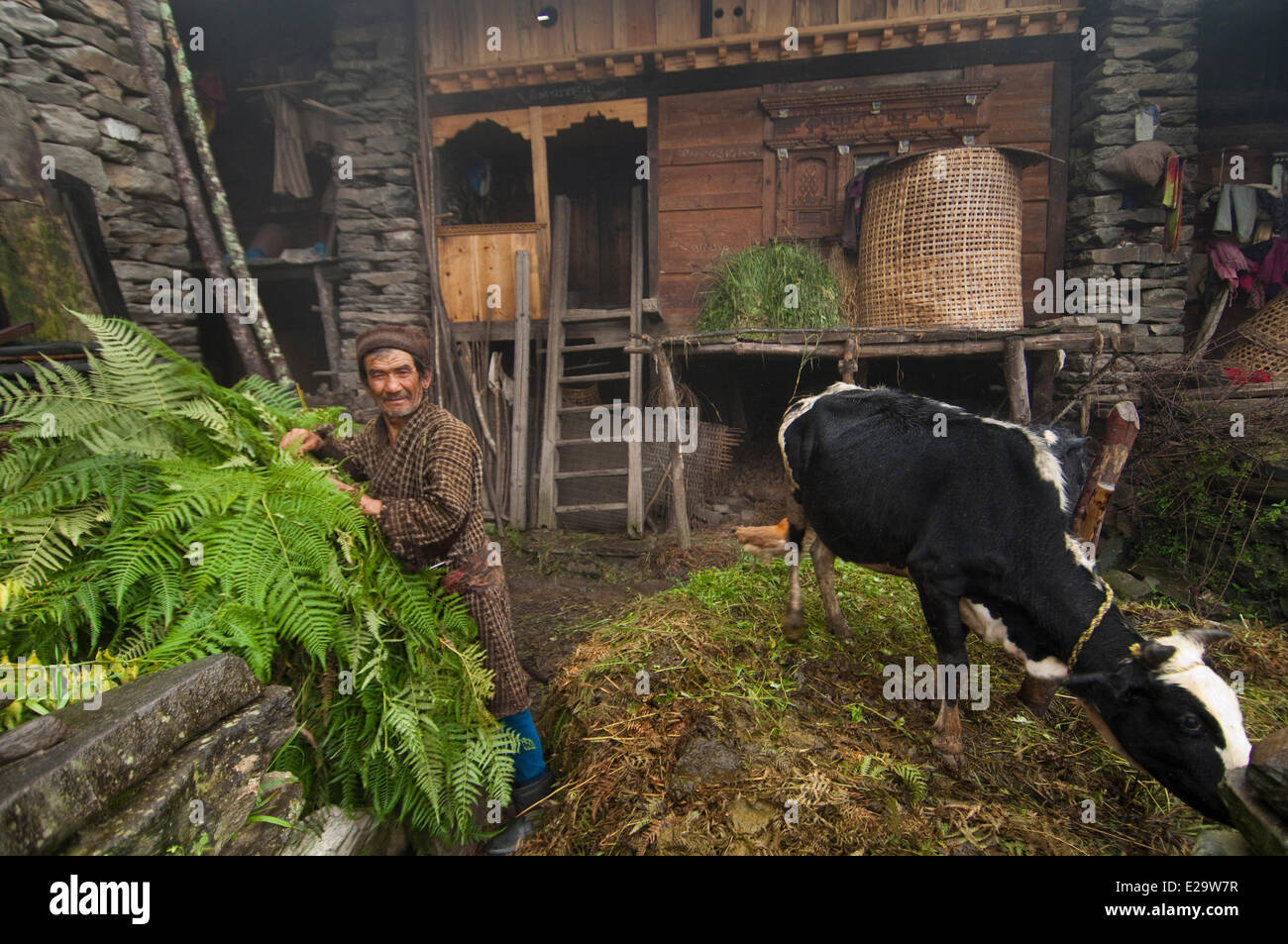 Nepal, Bagmati Zone, Rasuwa District, Trisuli Valley, Gatlang, Tamang ...